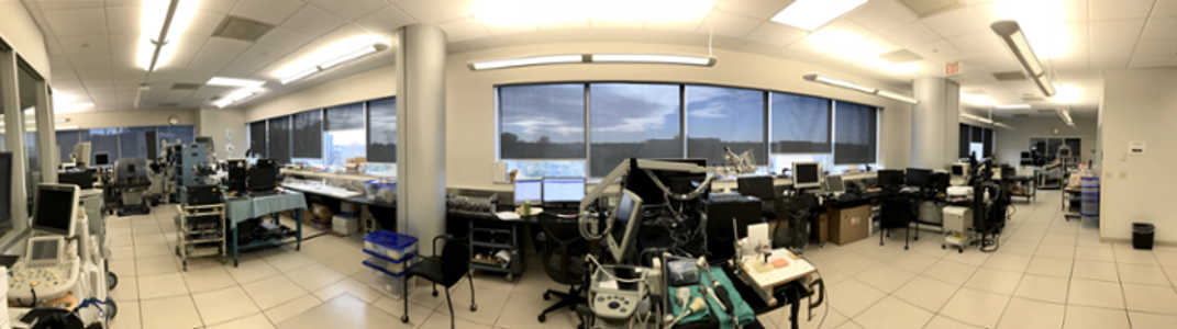 - Western University