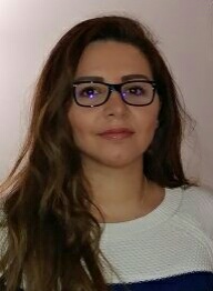 Research Scientists/Post-doctoral Fellows - Optimized Computing and ...